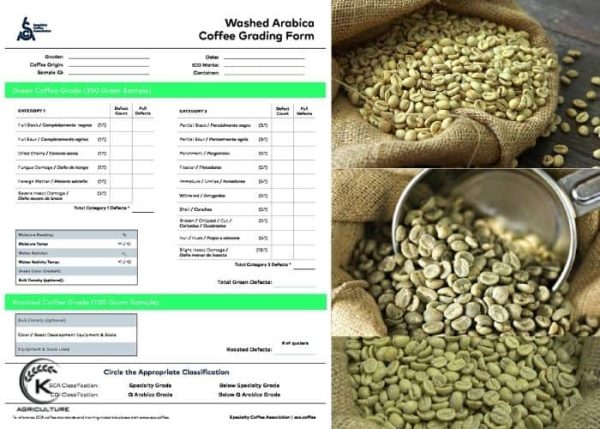 The Answer To The Question "What Is Specialty Coffee?" - K-Agriculture