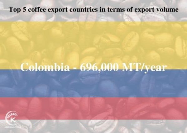 Top 10+ Leading Coffee Export Countries in the World and Their Export ...