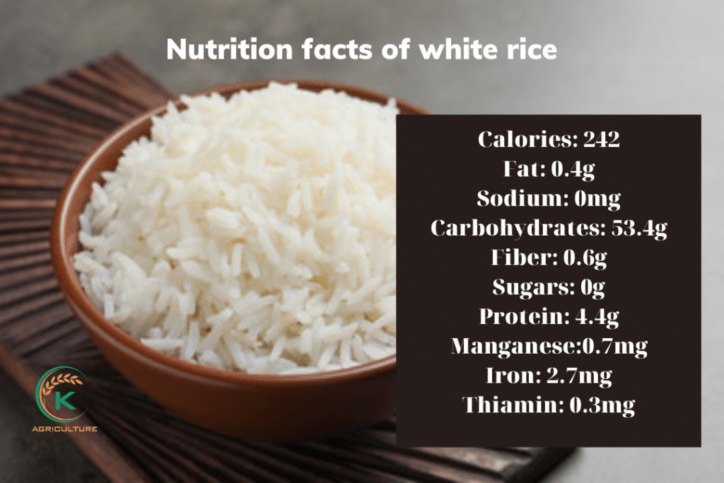 7 Interesting Differences Between Brown Rice and White Rice