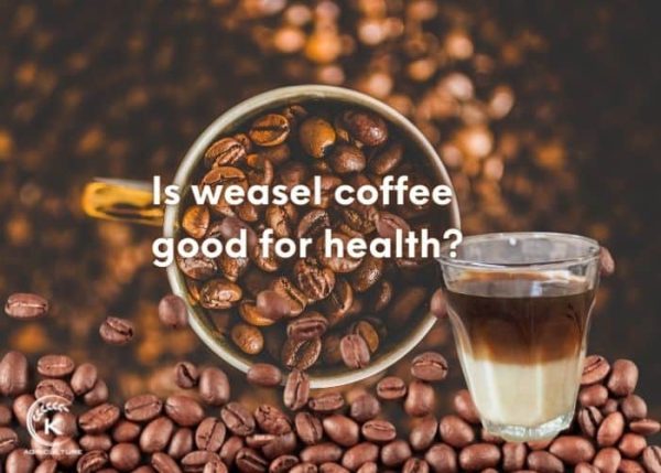 Vietnamese Weasel Coffee: All Information You Should Know - K-Agriculture