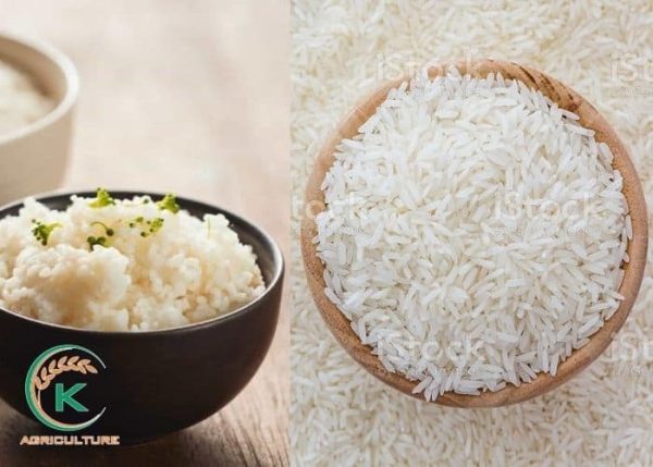 Medium Grain Rice Vs Long Grain Rice: Which One Is Better? - K-Agriculture