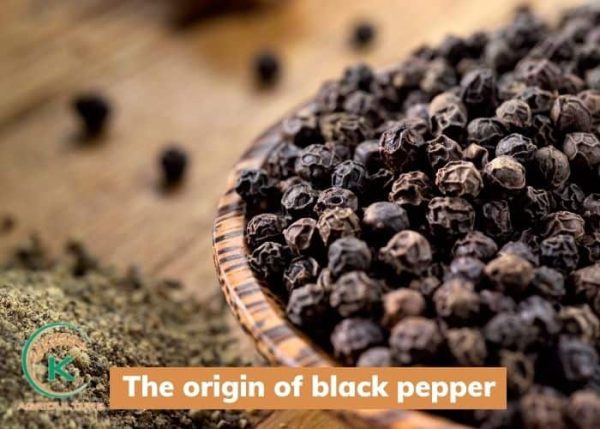 The Importance of Black Pepper: Origin, Characteristics, and Global Uses