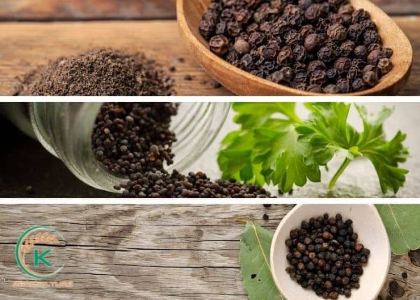 The Importance of Black Pepper: Origin, Characteristics, and Global Uses