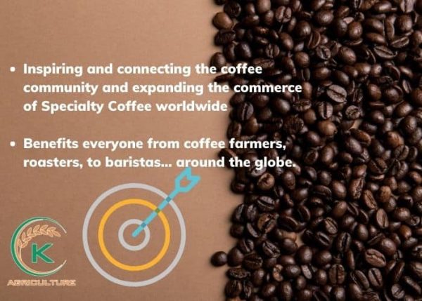 Get To Know About Specialty Coffee Association - K-Agriculture
