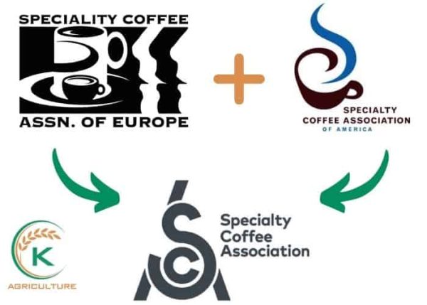 Get To Know About Specialty Coffee Association - K-Agriculture