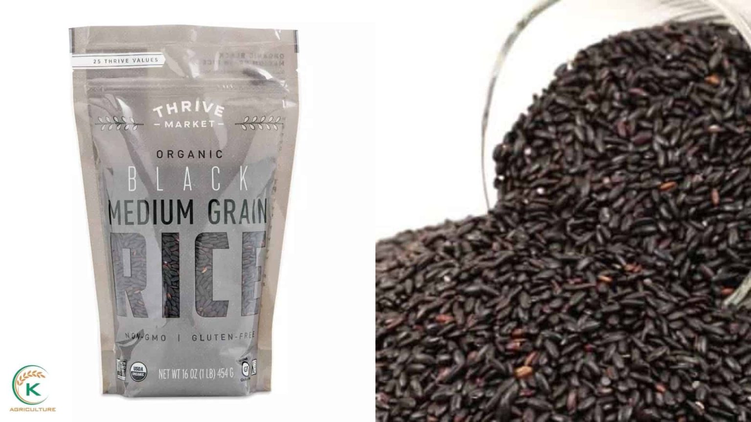 The popularity of organic rice today