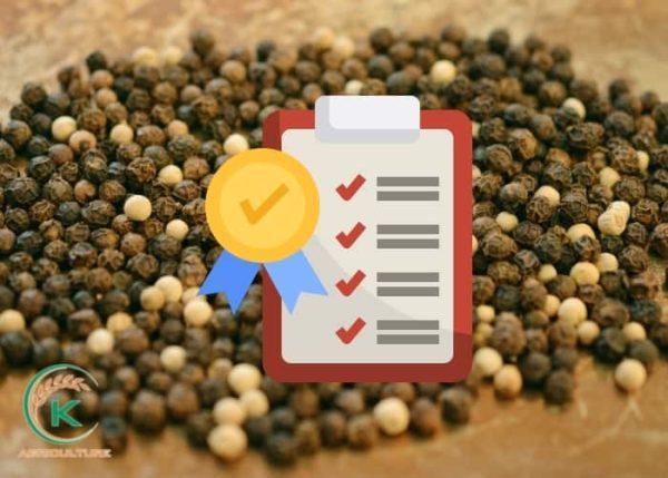 How to import pepper from Vietnam? - K-Agriculture