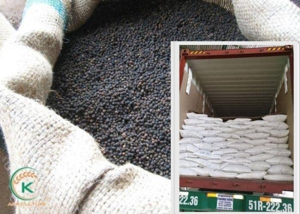 5 FACTS ABOUT PEPPER IN BULK THAT IMPORTERS MUST KNOW