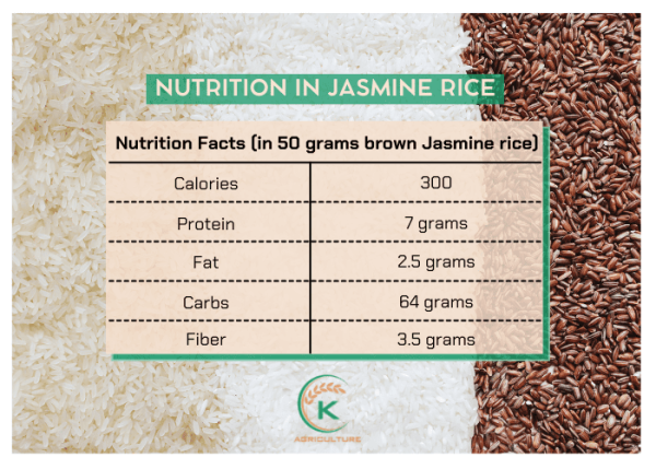Jasmine Rice Explained: The Ultimate Guide for Buyers and Importers - K ...