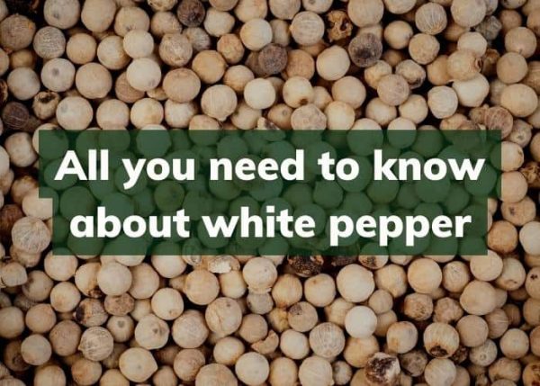 5 Essential Facts About White Pepper for Importers and Traders - K ...