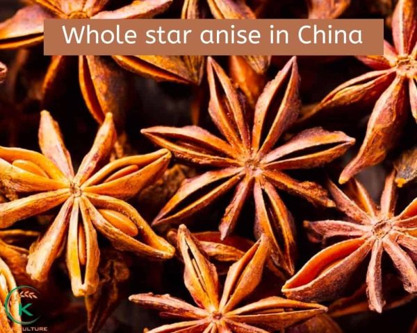 Everything you need to know about whole star anise - K-Agriculture