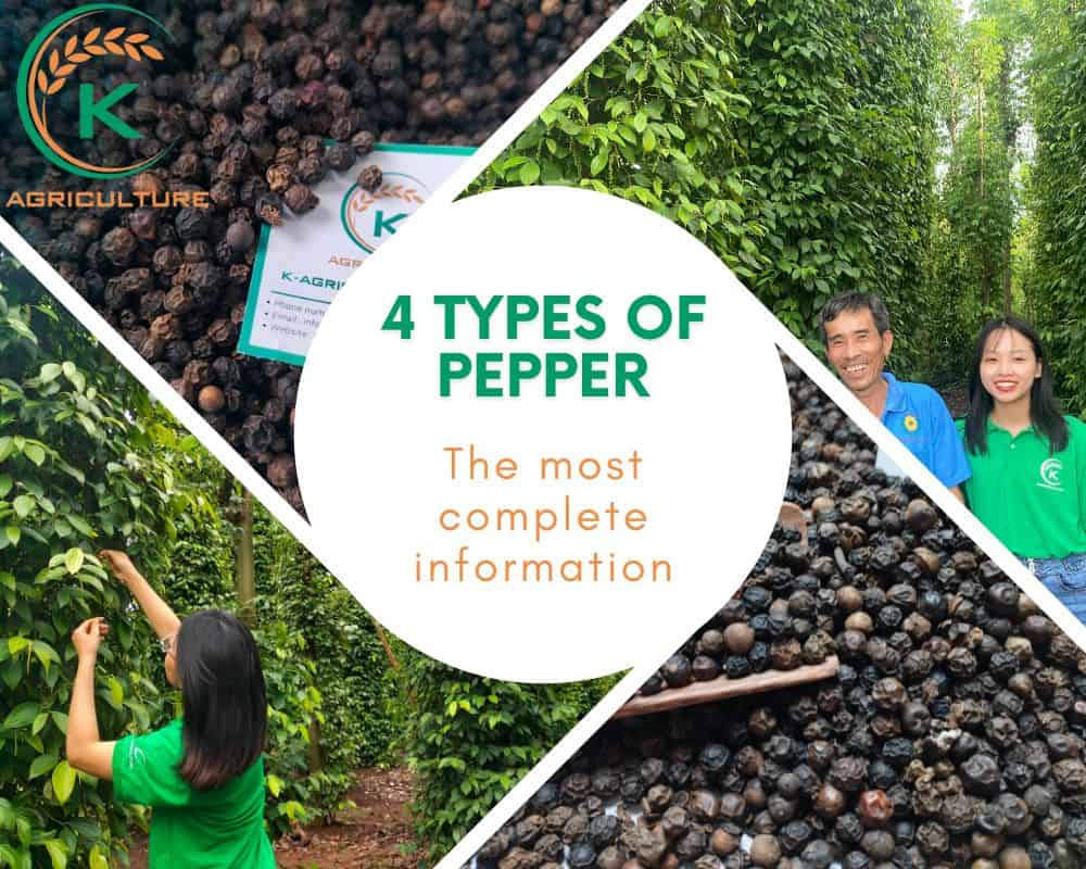 4 Types of peppers and the best suppliers - K-Agriculture