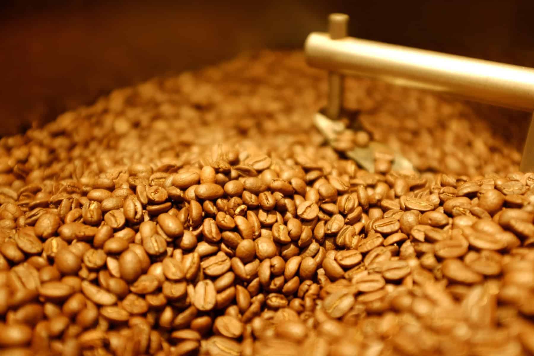 Robusta Roasted Coffee Commercial K Agriculture