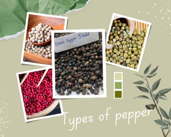How to import pepper from Vietnam? - K-Agriculture