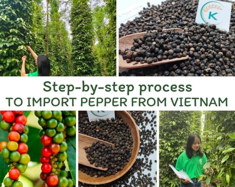 How to import pepper from Vietnam? - K-Agriculture