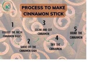 How To Distinguish Cinnamon Stick Vs Ground Cinnamon? - K-Agriculture