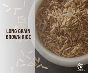 4 Types Of Brown Rice That You May Not Be Aware Of - K-Agriculture