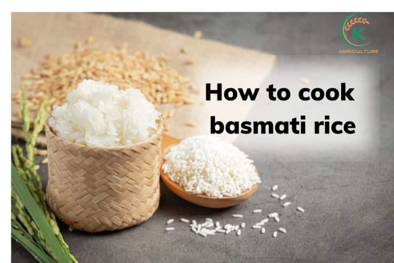 All You Need To Know About Basmati Rice - K-Agriculture