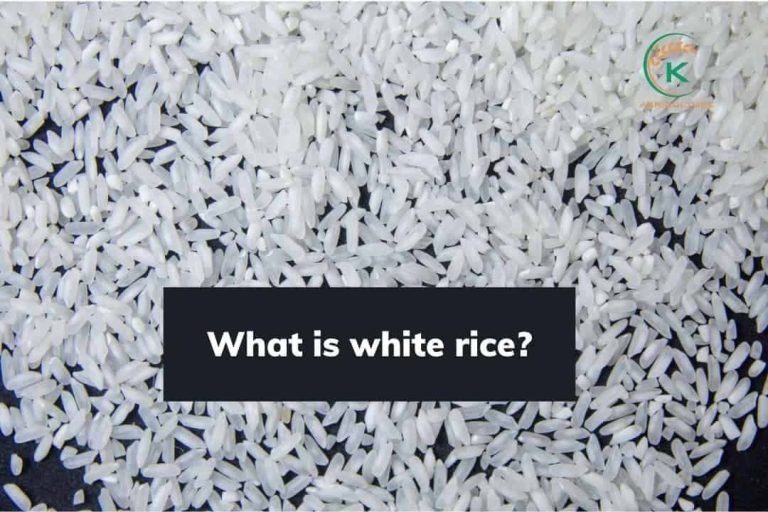 Jasmine Rice And White Rice: What Makes Them Different?