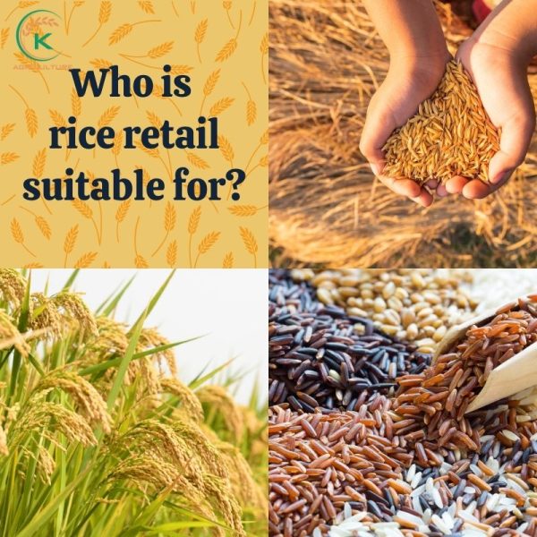 10 Effective Marketing Channels for New Rice Retailers: A DIY Guide ...